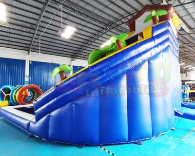 China Plato Double Side Inflatable Water Slide Jumper Bounce House for sale