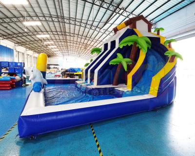 China Plato Double Side Inflatable Water Slide Jumper Bounce House for sale