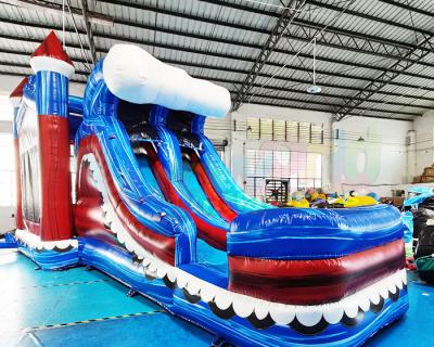 China Leão-de-chácara inflável comercial do castelo Bouncy combinado para a atividade do festival à venda