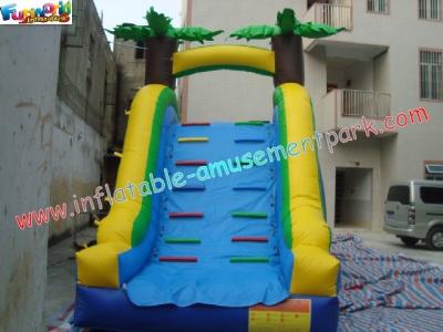 China Childrens Outdoor Inflatable Water Slides for parties (amusement game, amusement park) for sale