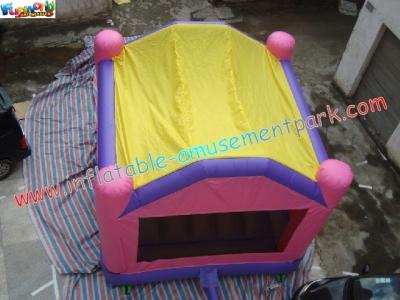 中国 ポリ塩化ビニールは家 4x4x4M を跳ぶ屋外の Theme Inflatable Commercial Bouncy 王女の城をからかいます 販売のため
