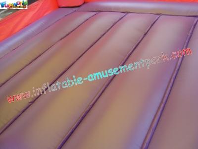 中国 ポリ塩化ビニールは家 4x4x4M を跳ぶ屋外の Theme Inflatable Commercial Bouncy 王女の城をからかいます 販売のため