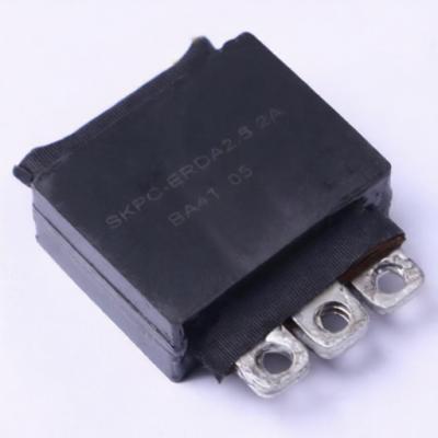 China SK Electronic SKPC-ERDA2.5-2A 135 2.5H Inductor with Ferrite Core and Polyimide Resin Insulation 72A for sale