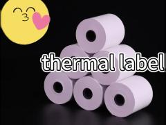 Witte rechtstreeks thermisch afdrukbare rollen of vellen Thermische verzendetiketten