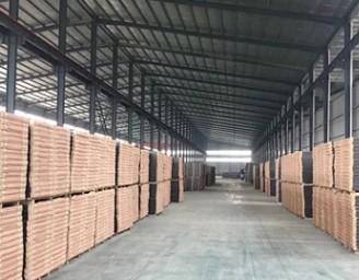 Fornitore cinese verificato - Ameston Building Products Ltd.