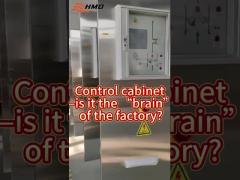 Control cabinet is it the 'brain' of the factory?