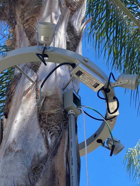 IK08 Customized LED Light DC24V - DC48V LED Palm Tree Light Ring