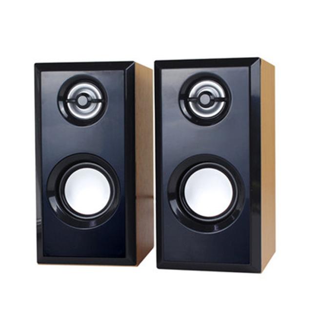 Speaker in home theater setup