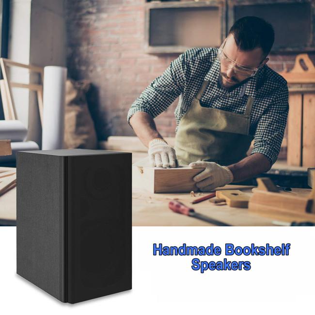 Vofull bookshelf speaker rear connections