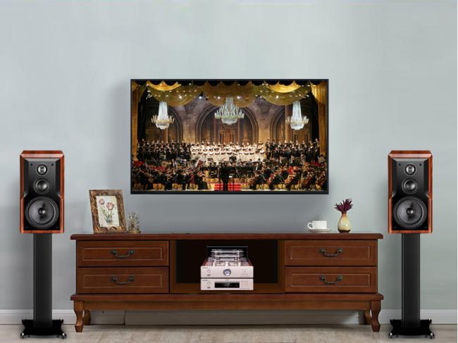 Vofull KH 508 Bookshelf Speaker close-up