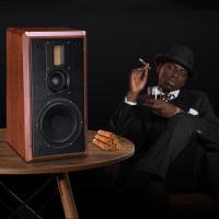 China Customized 8 Inch Bookshelf Passive Speakers 3 Way Multifunctional for sale
