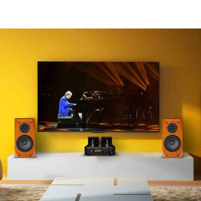Cina Altoparlante passivo dello scaffale per libri di modo di colore 2 di legno per l'audio sistema domestico in vendita