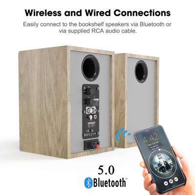 중국 홈 시어터를 위한 100W 음성 블루투스 책장 스피커들 무선 판매용