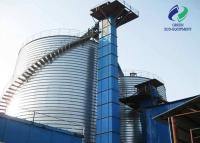 China Bulk Material Lifting Bucket Elevator NE Chain Plate Type for sale