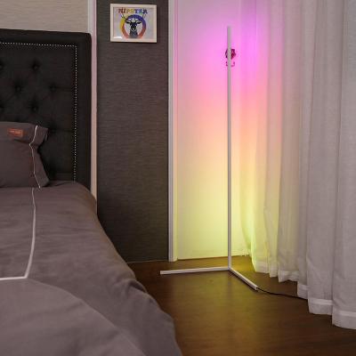 Cina Modern factory direct conner high quality led floor lamp in vendita