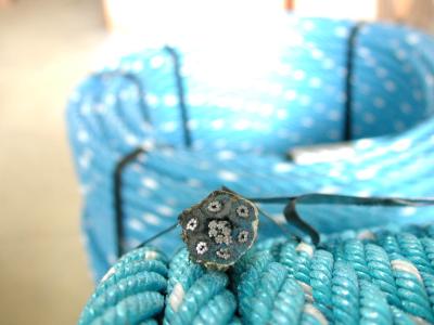 中国 6 糸のPP組み合わせロープ 6x19 iwrc/fc 18mm/20mm カスタマイズされた色 販売のため