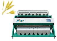 China Industrial Corn Wheat Color Sorter Machine 64-640 Channels 99.99% Accuracy Grain Sorting for sale