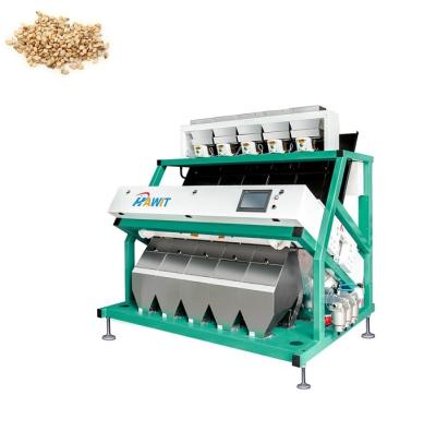 Cina Grado di industria acquisizione di immagine del CCD del selezionatore di colore del sesamo di 8 t/h in vendita