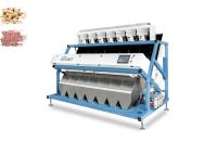 China Industrial Peanut Color Sorter Machine 99.99% Accuracy 256 to 640 Channels for sale