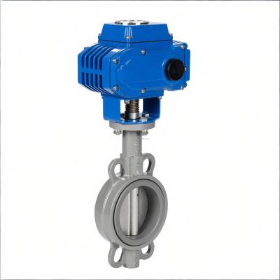 China 2IN10IN Electric Cast Iron WCB Soft-Sealed Centerline Adjustable Butterfly Valve DC24VAC110V/220V/380V Ordinary/Intelligent Type for sale