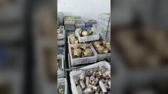 High Quality Brass Valve Manufacturing Process