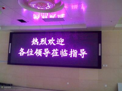 Cina Porpora pura P16 16mm 256 * il tri colore di 128mm ha condotto i moduli dell'esposizione di messaggio di testo per i mezzi pubblicitari in vendita