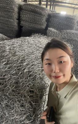 China Galvanized Gabion Box Wire Mesh 2m Length Anti Rust Woven for sale