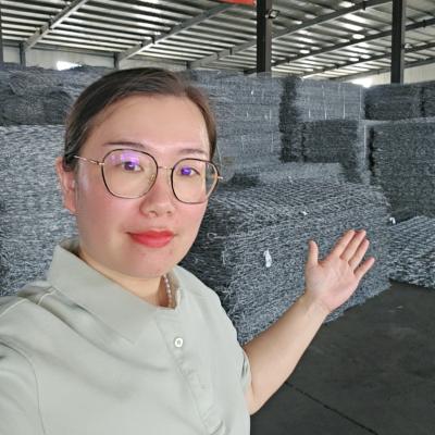 China Protect Riverbanks Slopes and Channels with Heavy-Duty Gabion Wire Mesh Wall and Horizontal Stiffeners for sale