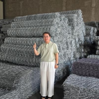 China Double-Twisted Hexagonal Design Ensuring Strength Durability and Adaptability for Gabion Wire Mesh Wall Project for sale