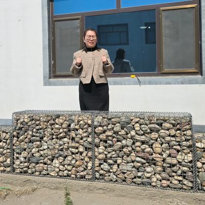 China Heacy Zinc Coated Gabion Planter Perfection Build A Living Wall That Rocks for sale