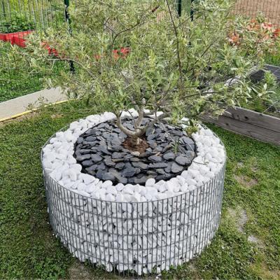 China Modern Design Galfan Coated Welded Gabion Planting Box for Garden Landscape for sale