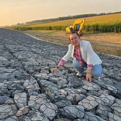 China Galvanized Mesh Gabions Basket 80x100mm Durable Retaining Wall Solution For Philippines Projects for sale