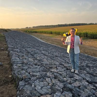 China 3.0mm Wire Mesh Gabion Box Heavy-Duty Galvanized Gabion for Philippine Flood and Slope Control for sale