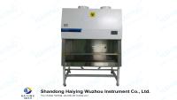 China Class 2 BSC Biosafety Cabinet for sale