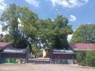 China Factory - Liuyang Tuopu Electronic Processing Co., Ltd.