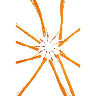 China 4m Plastic Electronic Igniter Fireworks Ignition Device with Spark Effect Remote Control Custom Length/Color Available for sale