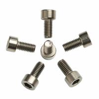 China Titanium Hexagon Socket Head Cap Screws M12 for Electrical Equipment - M2 to M16 Sizes, 4-100mm Length for sale