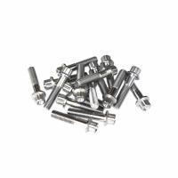 China 12 Point Flange Head Titanium Wheel Hub Bolt Metric or Inch Thread Grade 10.9 for sale