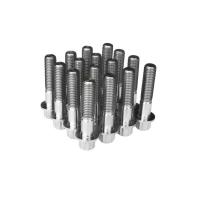 China 12 Point Flange Head Titanium Wheel Hub Bolt Metric or Inch Thread Grade 10.9 for sale
