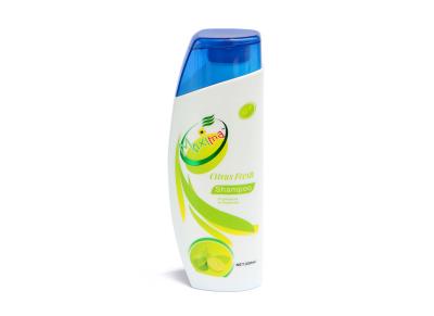 China Healthy Citrus Fresh Natural Hair Shampoo Hair Care Products For Damaged Hair for sale
