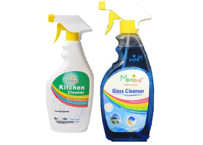 China Multi Purpose Liquid Anti Static Glass Cleaner Homemade Cleaning Products for sale