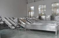 China 3000W Fruit Vegetable Washing Machine Fully Automatic Multi Functional for sale