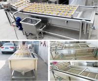China 3000W Fruit Vegetable Washing Machine Fully Automatic Multi Functional for sale