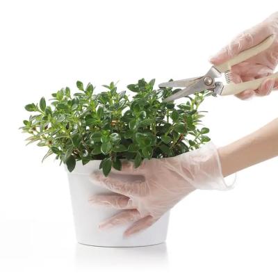 China Waterproof Disposable Vinyl Gloves Transparent Use For Kitchen for sale