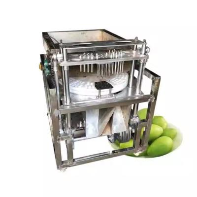 China Automatic Emirates Date Pitting Machine Cherry Olive Jujube Pitter Corer Seed Remover Machine for sale