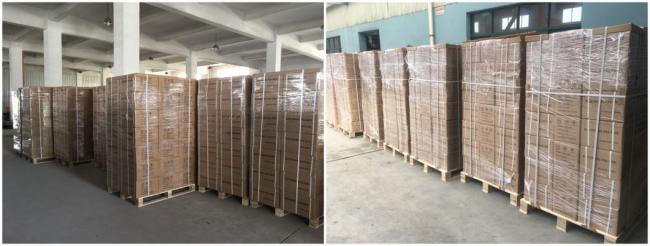 High Volume Low Cost 120dB 220V Power Failure Alarm for Machine Room Fish Pond Farm