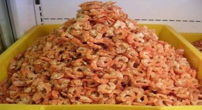 China Wholesale seafood dried fresh water baby shrimp frozen dry shrimp from china for sale