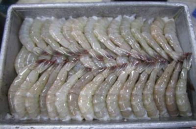 China Frozen seafood Headless Vannamei Shrimps for sale