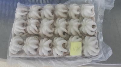 China FROZEN WHOLE CLEAN BABY OCTOPUS  SEAFOOD FOR GOOD QUALITY for sale