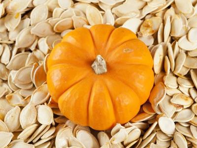 China china food Edible Dry and Raw Seed 9-13cm Pumpkin Seed With High Protein Price for sale